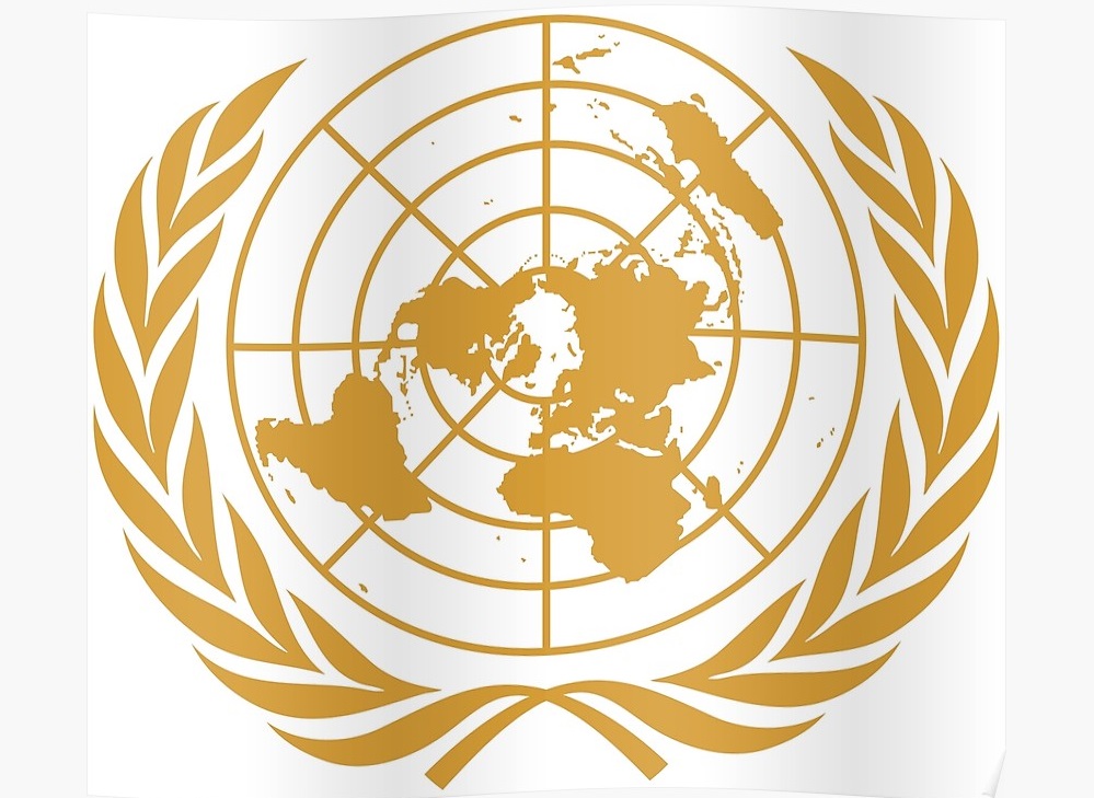 UN Decolonization Plans Report on Puerto Rico - PUERTO RICO REPORT