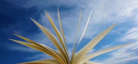 Notable Puerto Rican Writers - PUERTO RICO REPORT